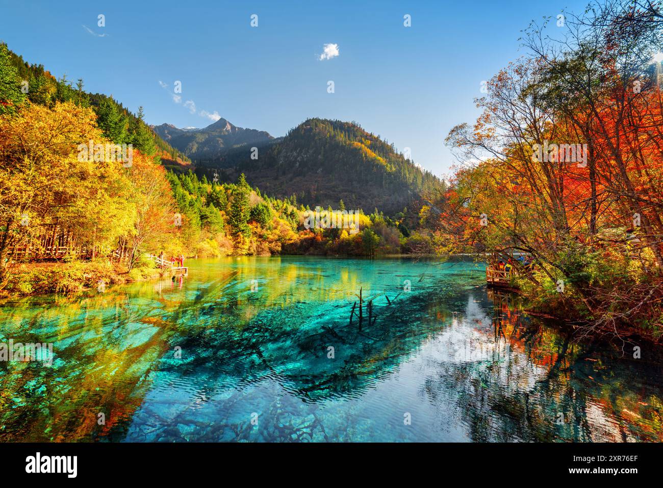 Amazing view of the Five Flower Lake with azure water Stock Photo - Alamy