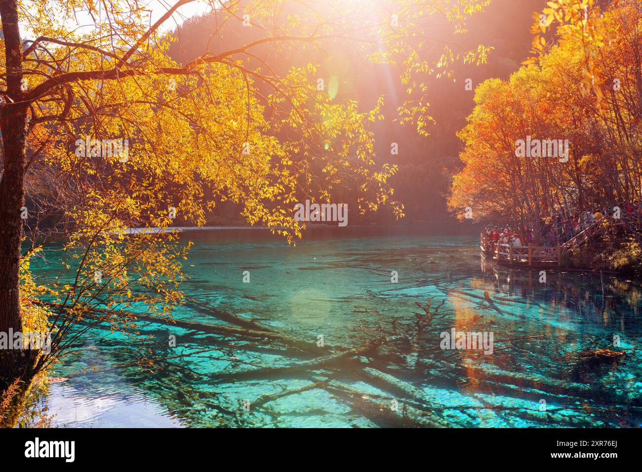Amazing view of the Five Flower Lake (Multicolored Lake Stock Photo - Alamy