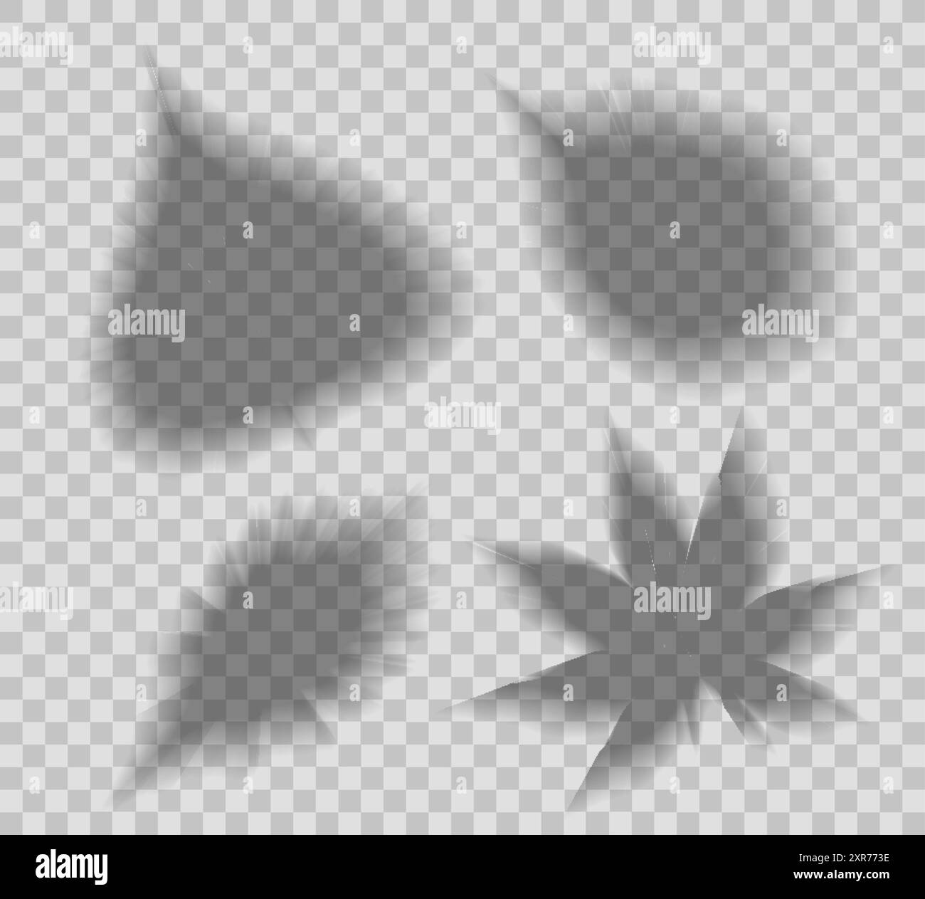 Vector set of transparent shadows of various leaves isolated from ...