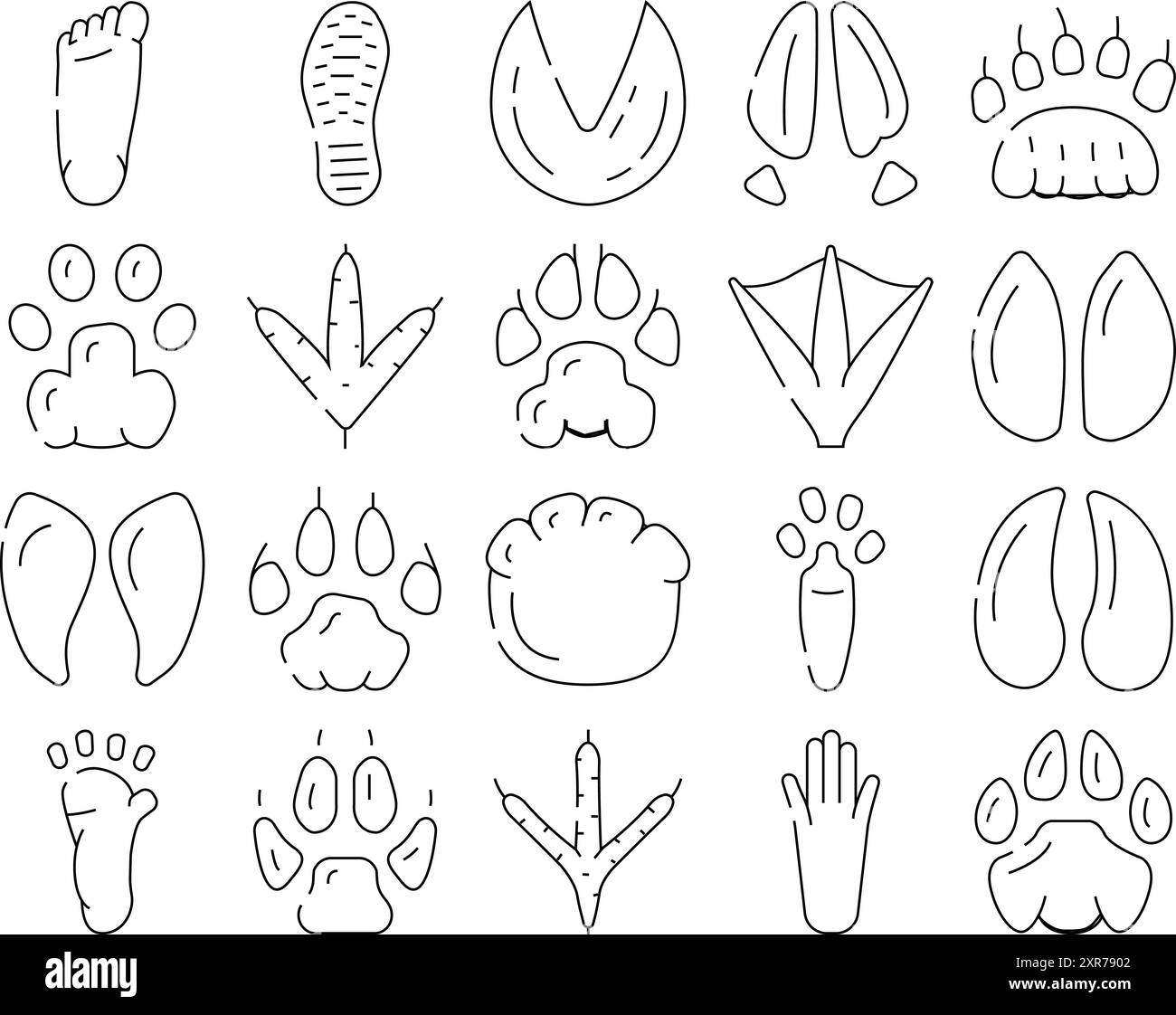 Wild pig human Cut Out Stock Images & Pictures - Alamy