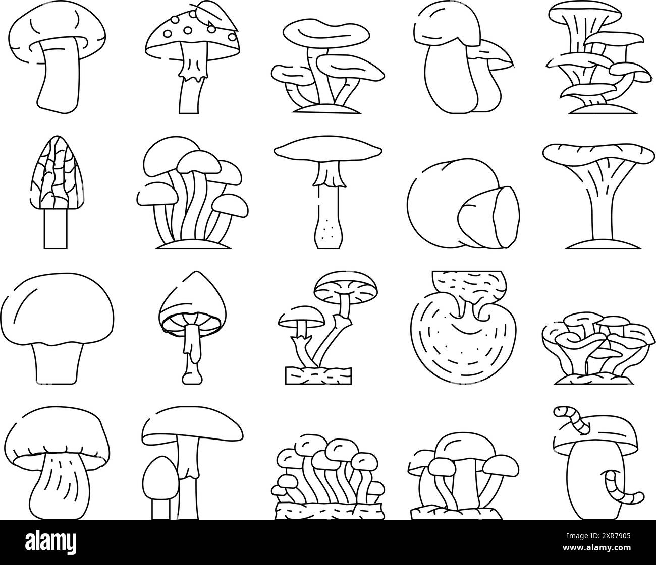 Mushroom Vegetable And Fungus Icons Set Vector Stock Vector Image & Art ...