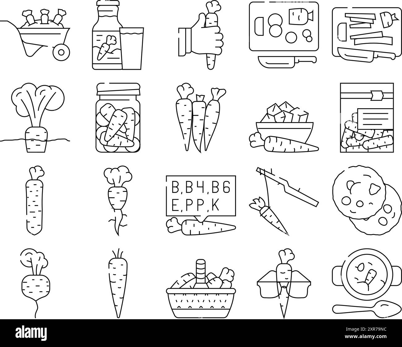 carrot vegetable orange food icons set vector Stock Vector Image & Art ...