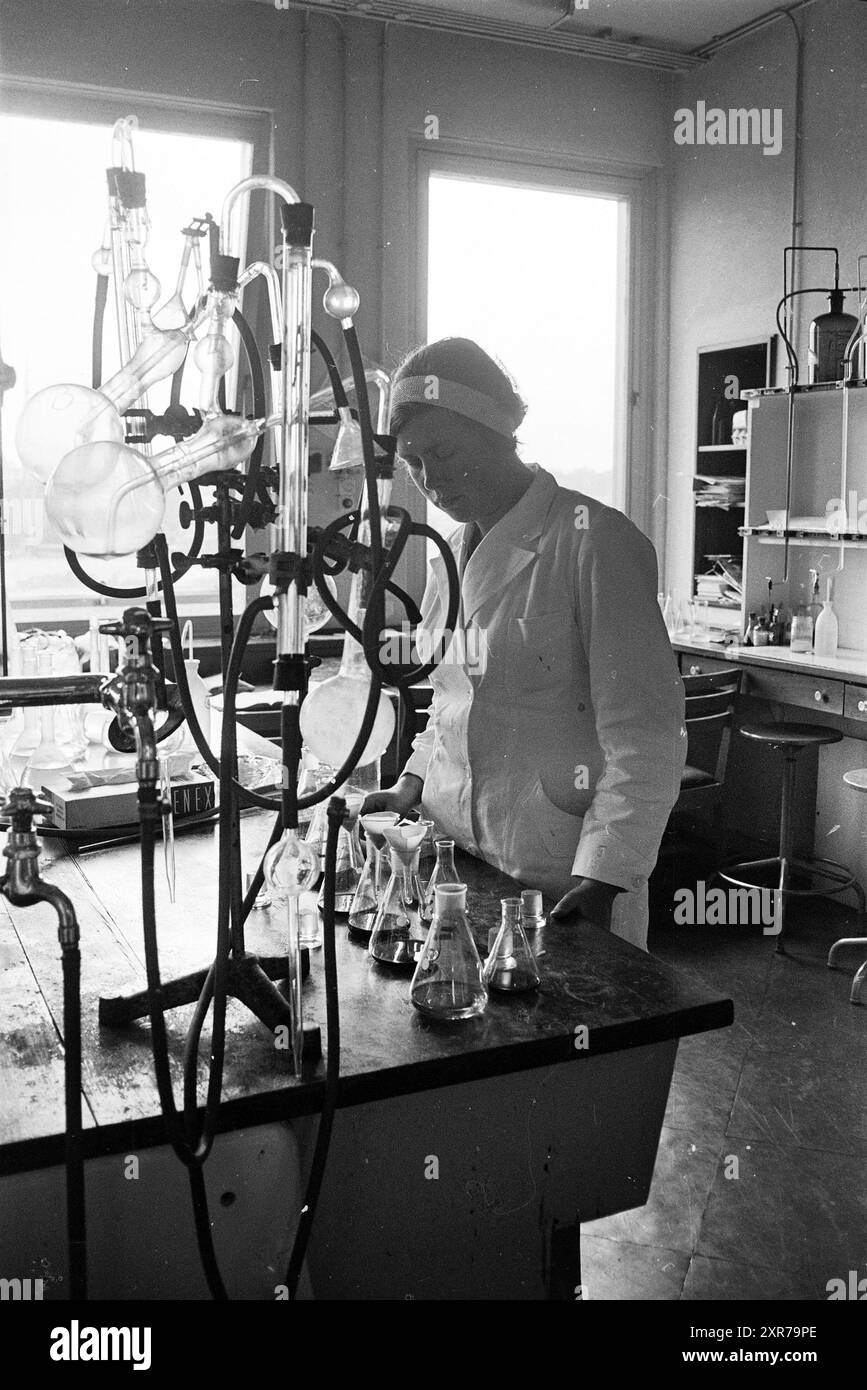 Fish laboratory tno ijmuiden hi-res stock photography and images - Alamy
