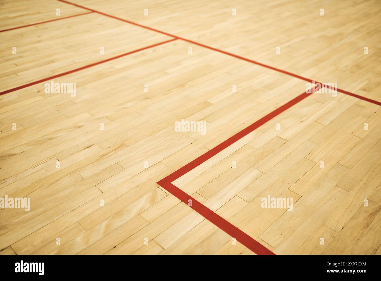 Squash, red lines and court floor at gym or sport club with wood ground ...