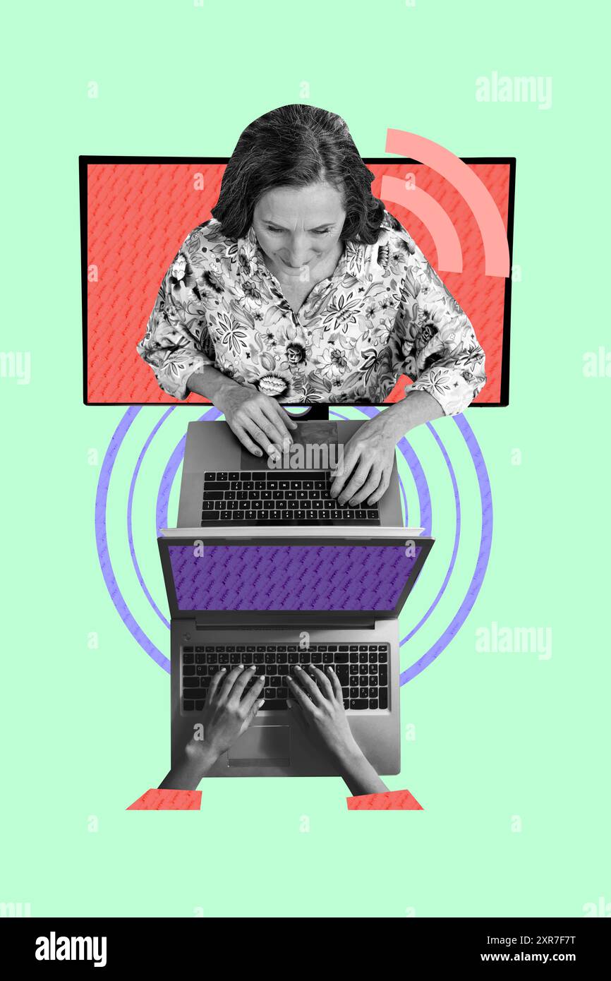 Vertical image collage mature woman typing laptop user keyboard digital ...