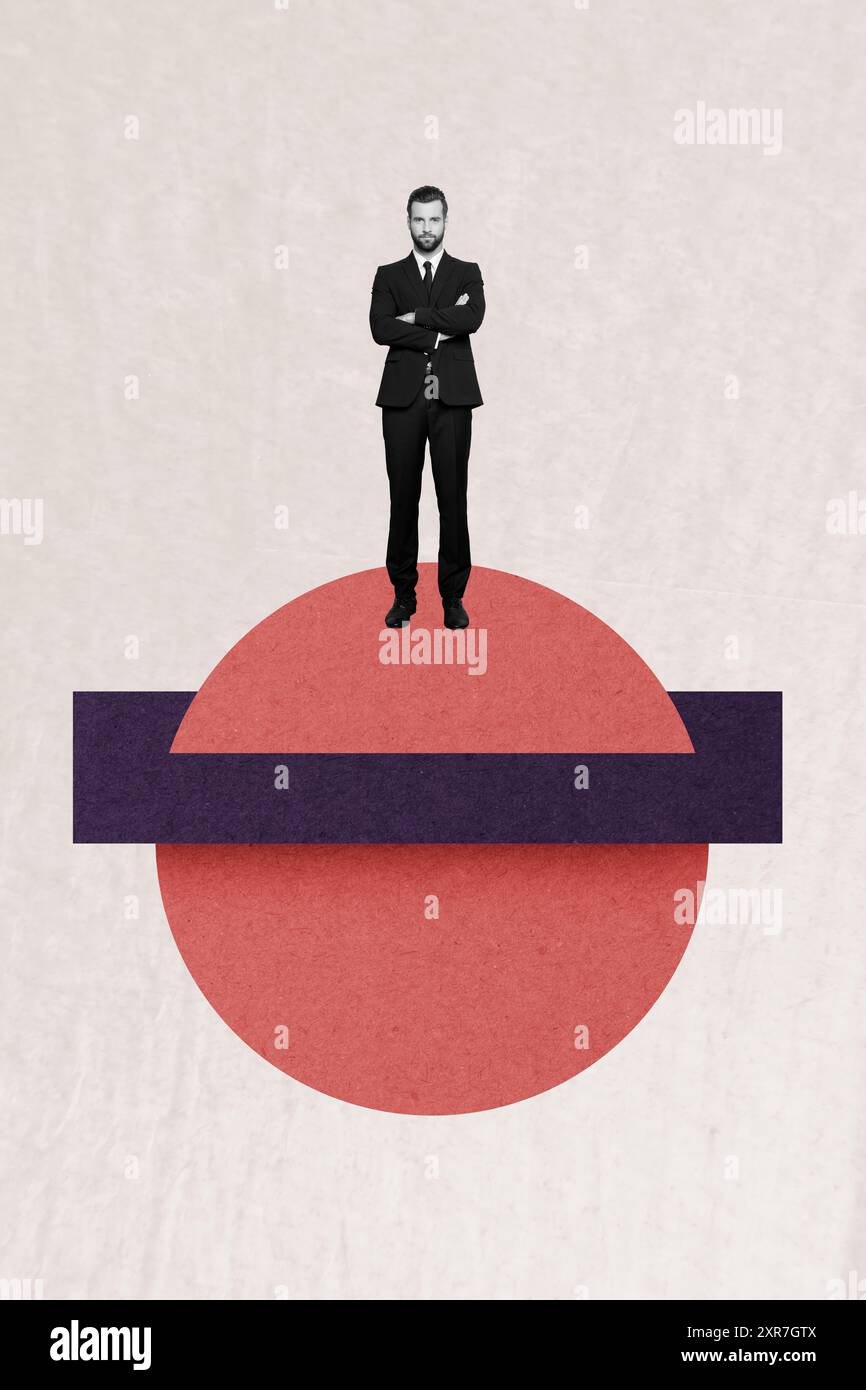 Collage image artwork of handsome confident man crossed arms boss big ...