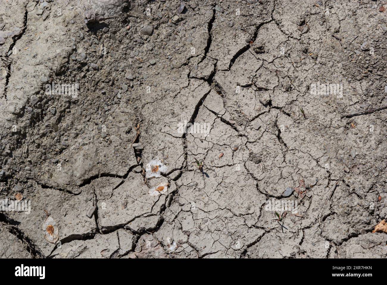 Wall texture soil dry crack pattern of drought lack of water of nature ...