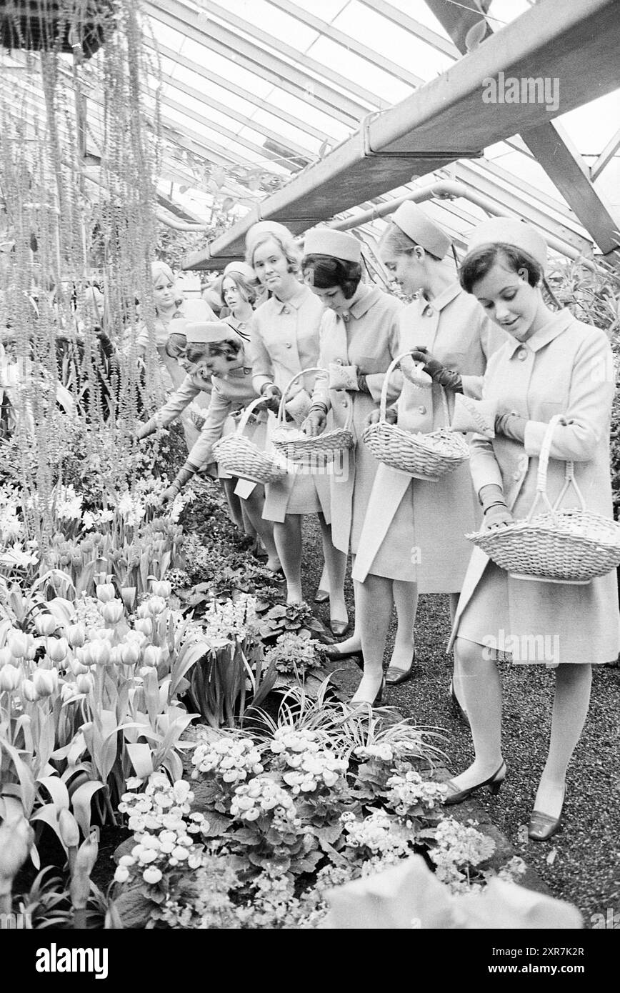 Dutch flower nursery Black and White Stock Photos & Images - Alamy