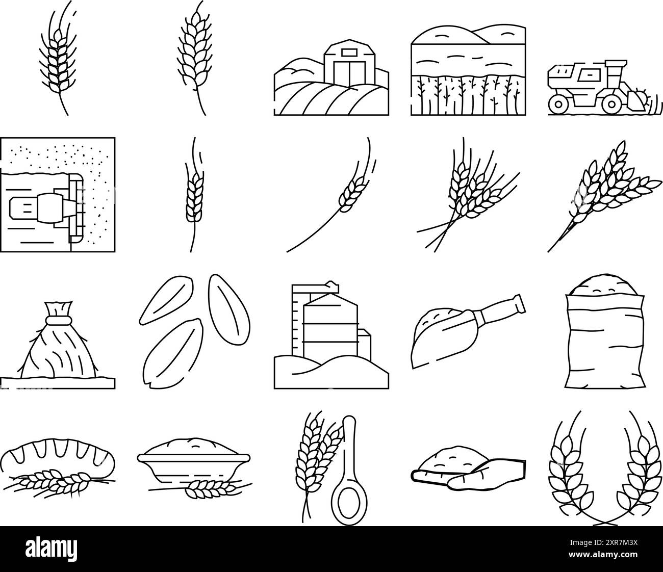 Cereal plant illustrations Stock Vector Images - Alamy