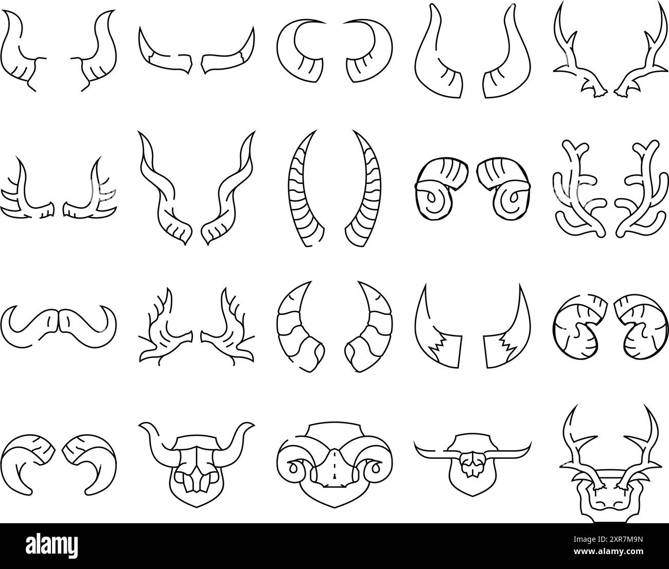 Wild cow elk Cut Out Stock Images & Pictures - Alamy