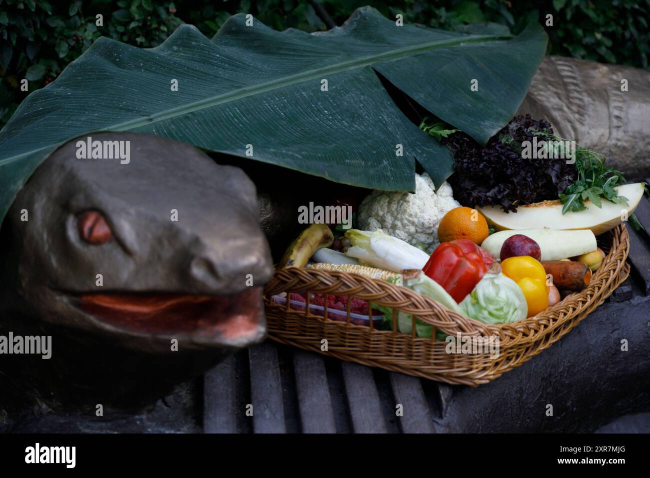 Gorilla toni hi-res stock photography and images - Alamy
