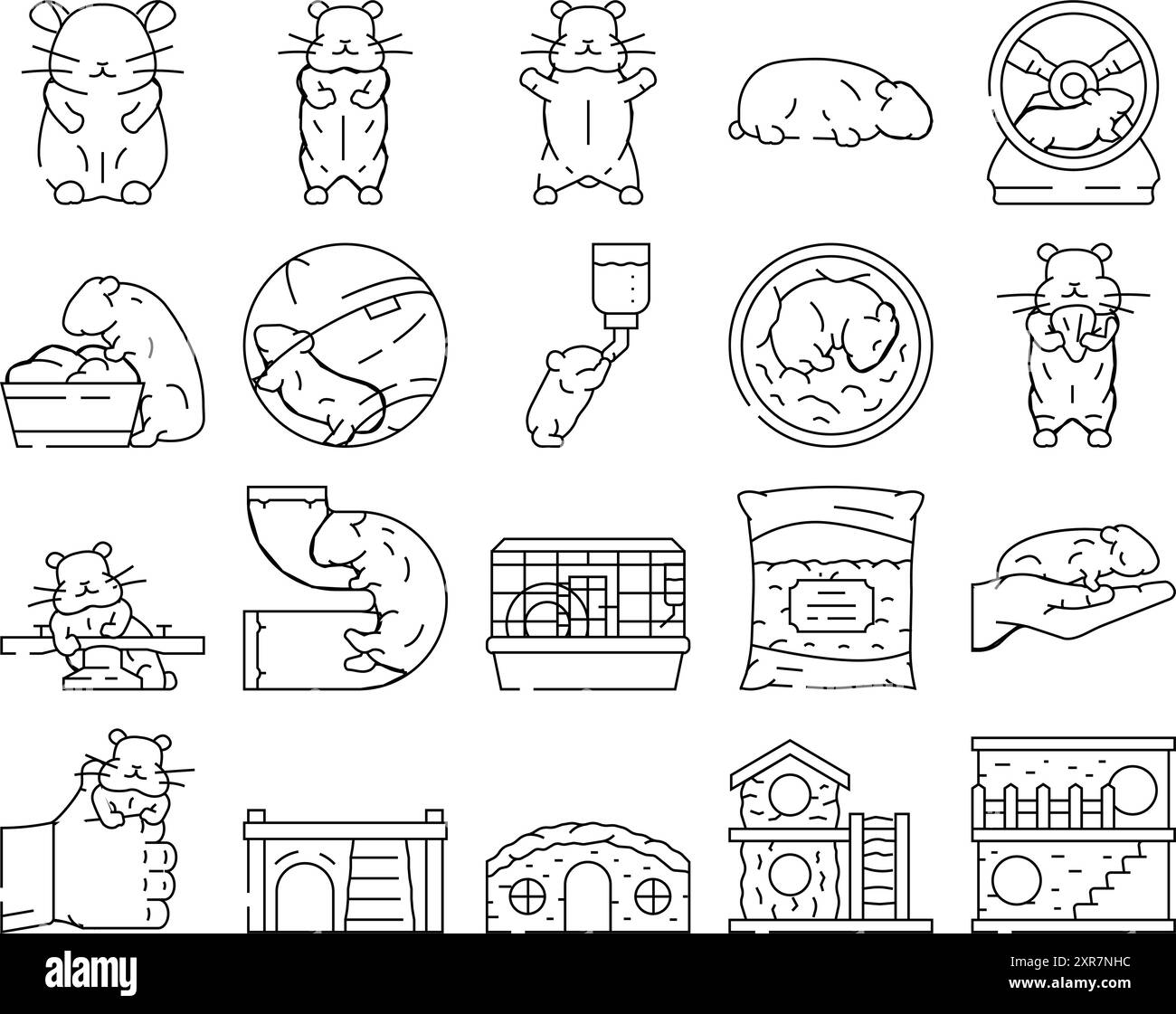 Golden hamster and guinea pig Stock Vector Images - Alamy