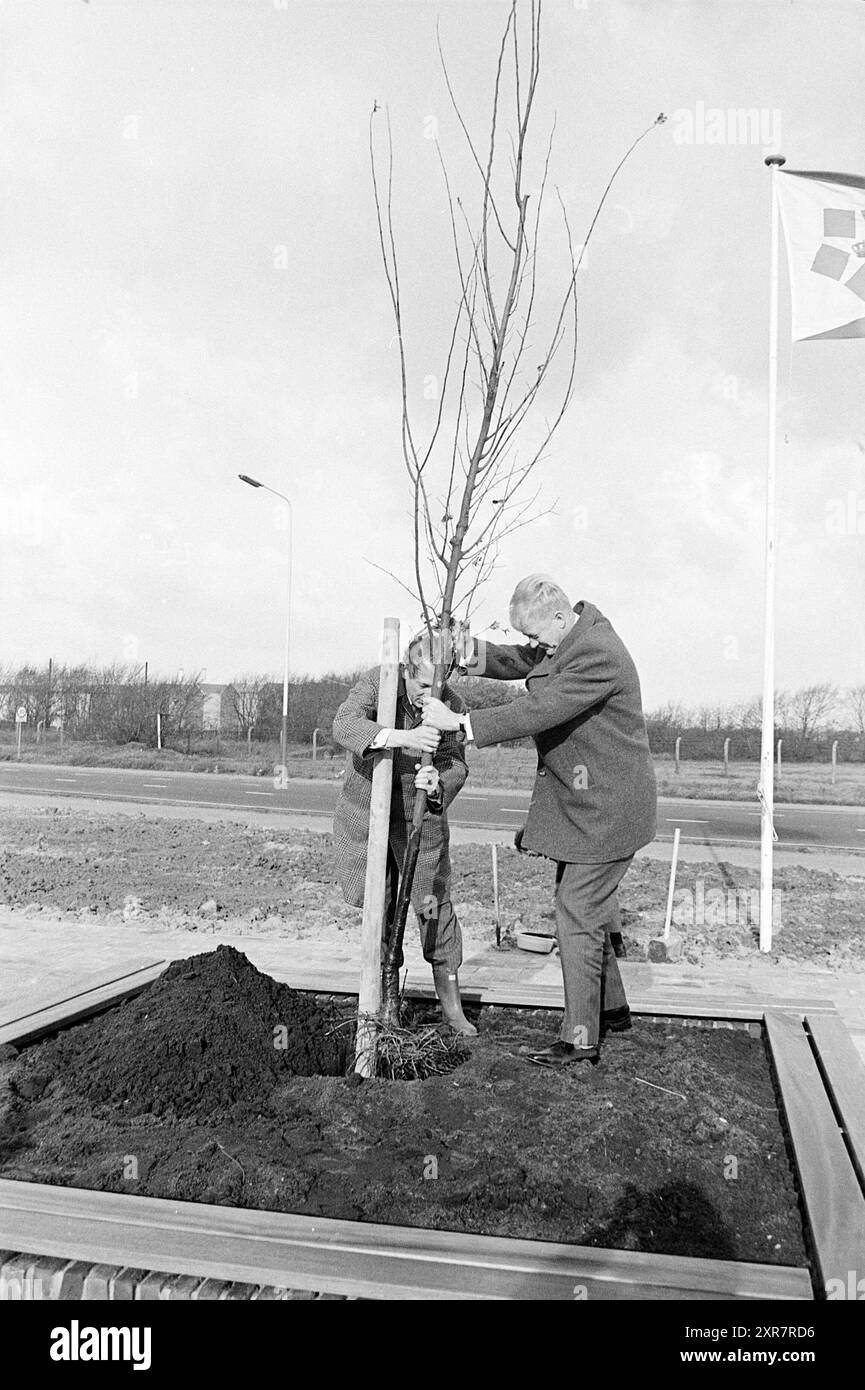 Planting trees blast furnaces hi-res stock photography and images - Alamy