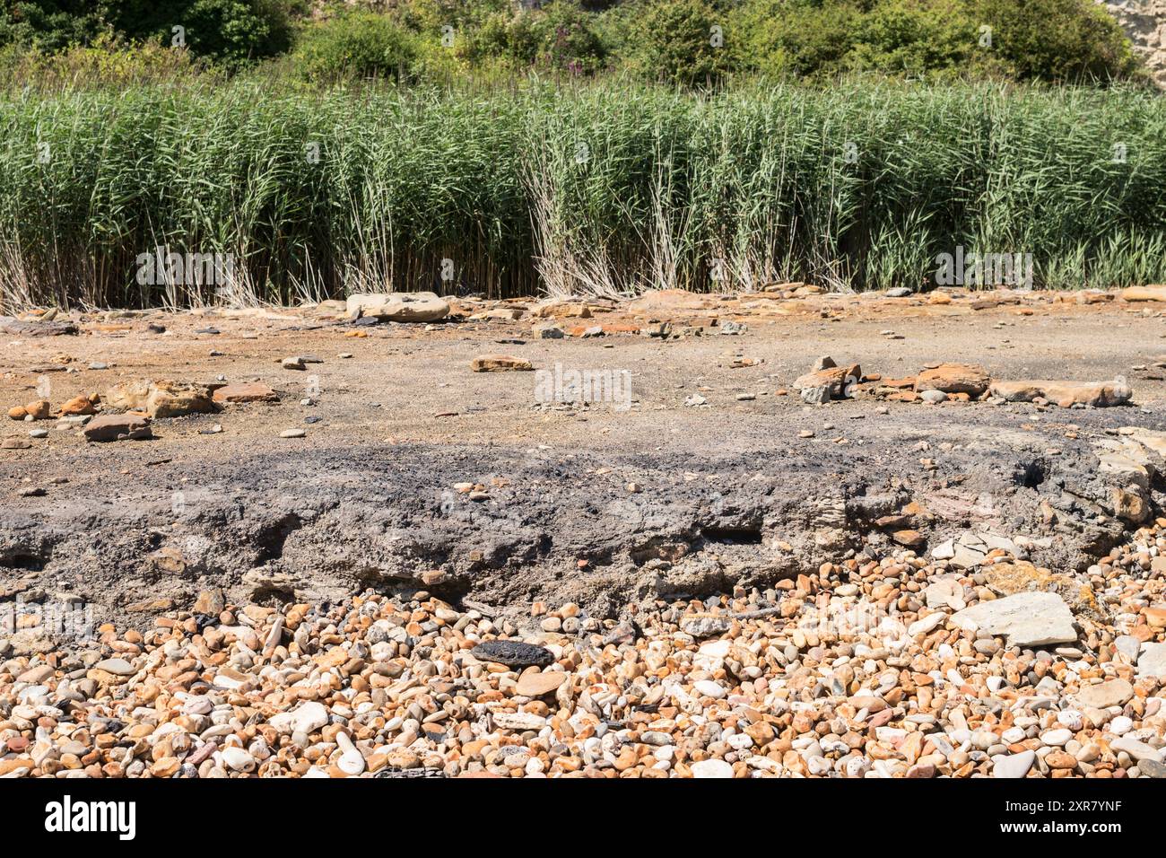 A decreasing layer of mining spoil remains on Blast Beach, Seaham, Co ...