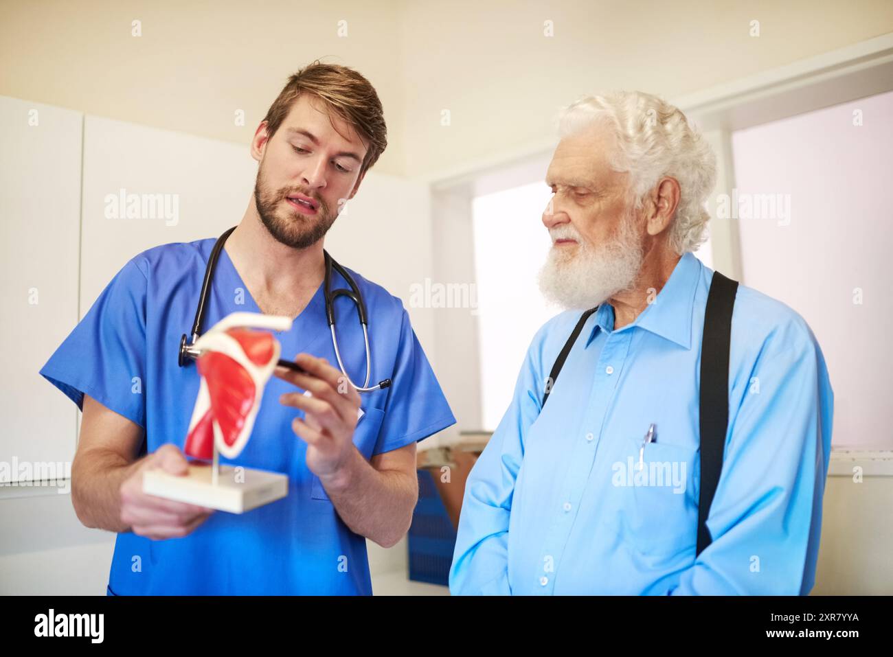 Muscle, model and doctor with senior patient for demonstration for ...