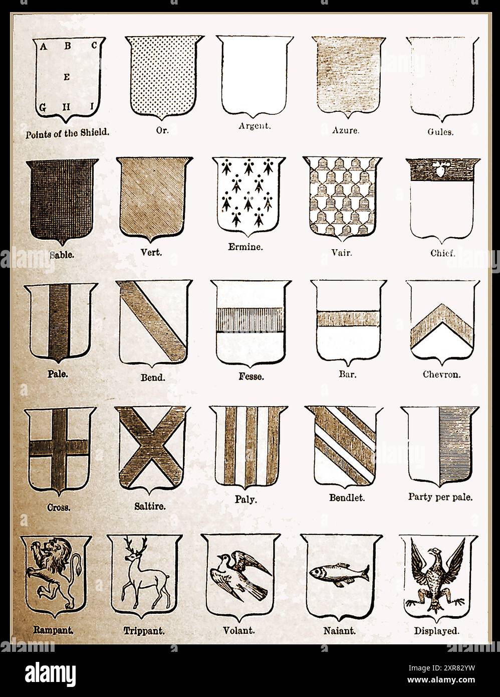 A 19th century image showing different aspects of heraldry shields ...