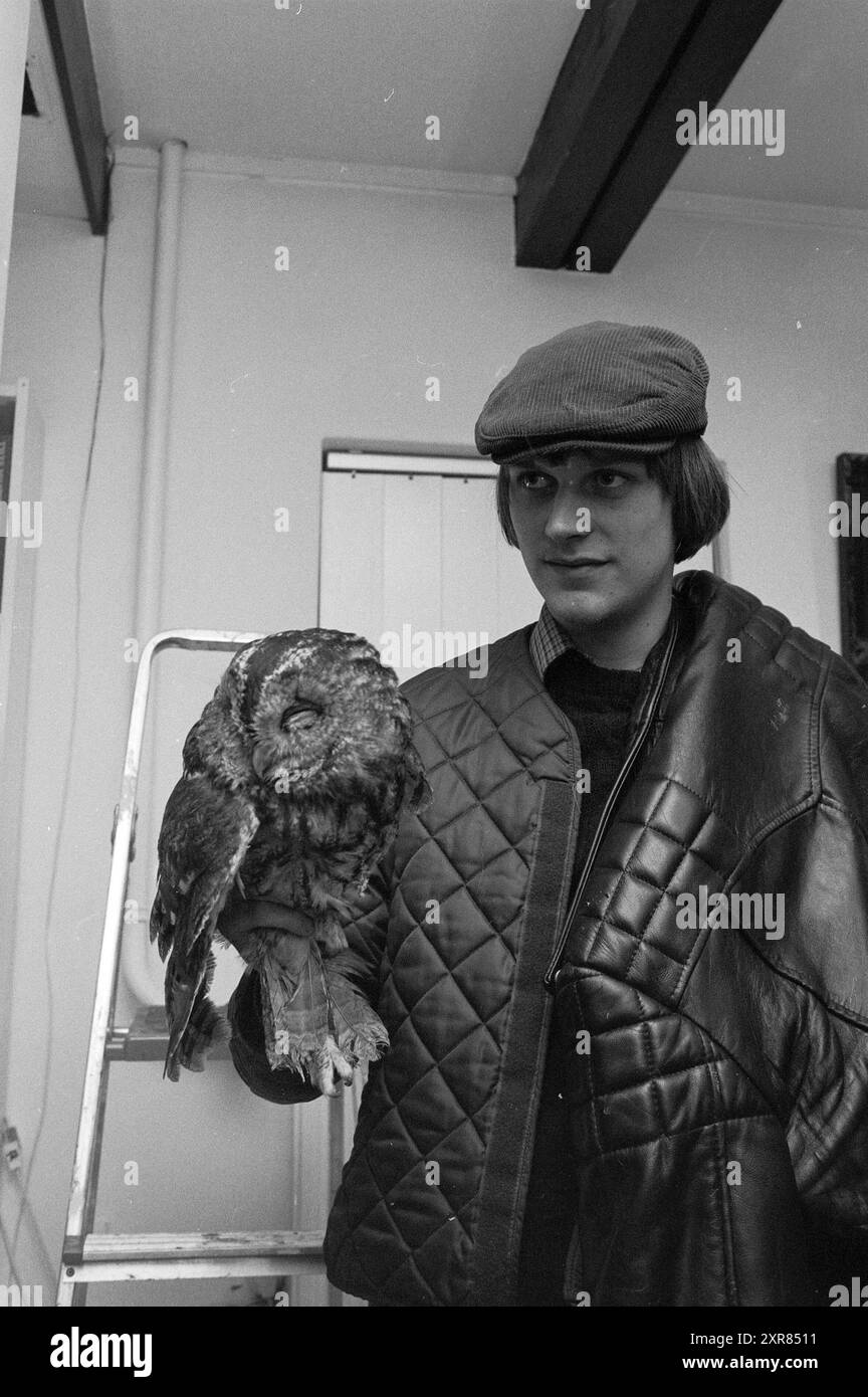 Owl in chimney Beyer family, Birds, 26-01-1984, Whizgle Dutch News ...