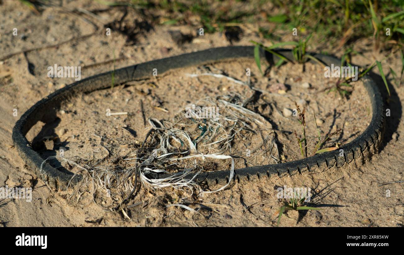 Rubber, automobile belt of the generator lies on the road sprinkled ...