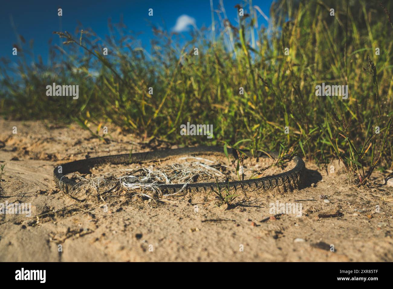 Garbage is lying on the road. The rubber, automobile belt lies on the ...