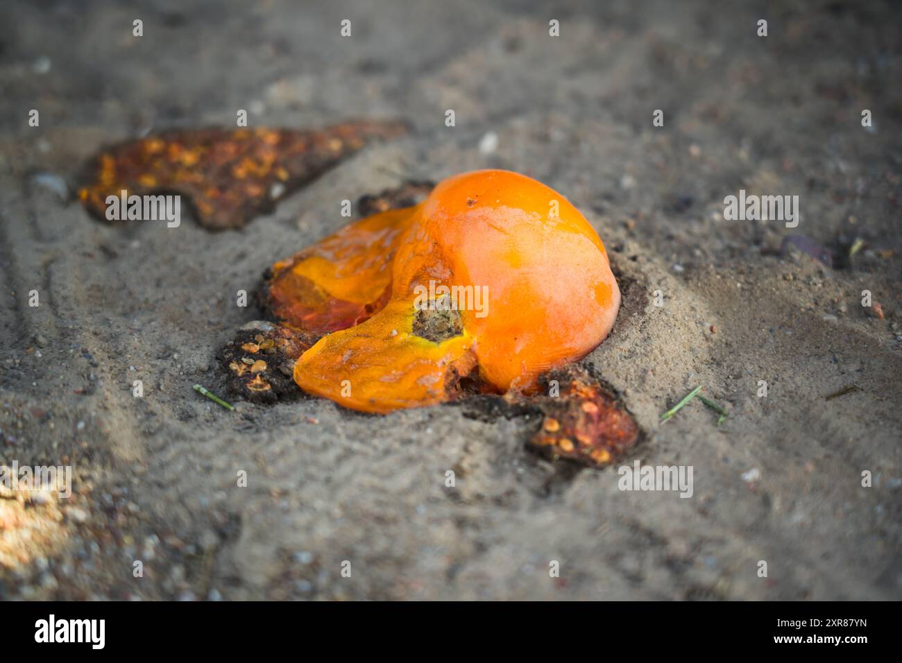Squished tomato hi-res stock photography and images - Alamy