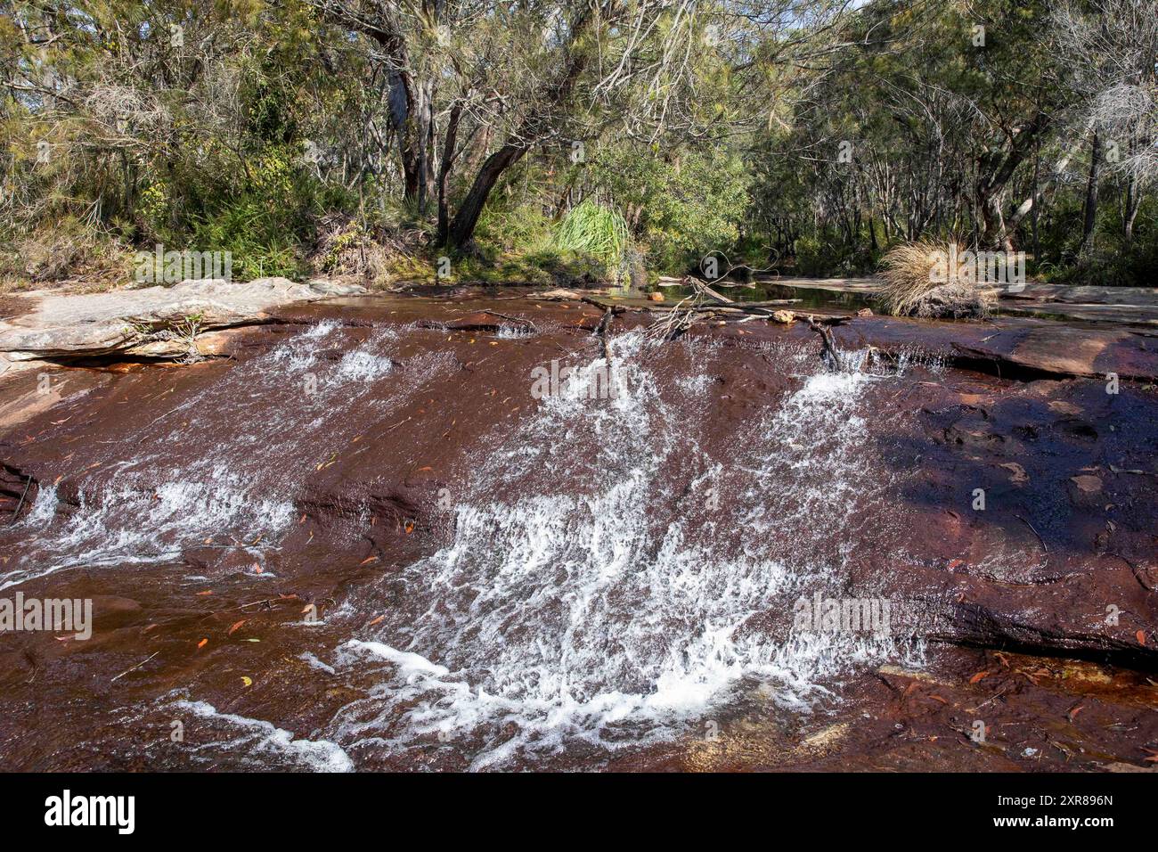 Royal National Park in Sydney Australia, waterfall flowing into the ...