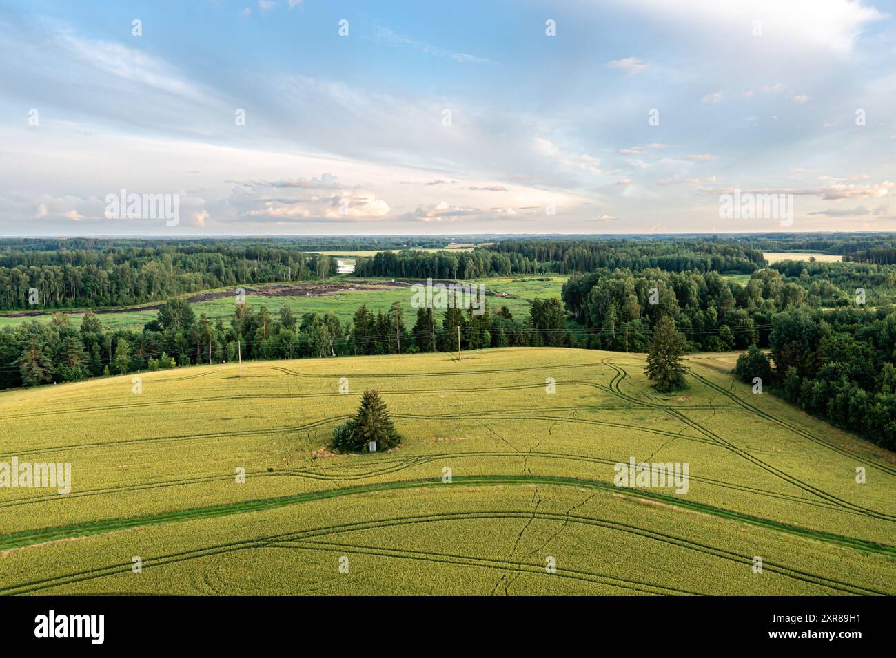 An overview of a vibrant green field from above Stock Photo - Alamy