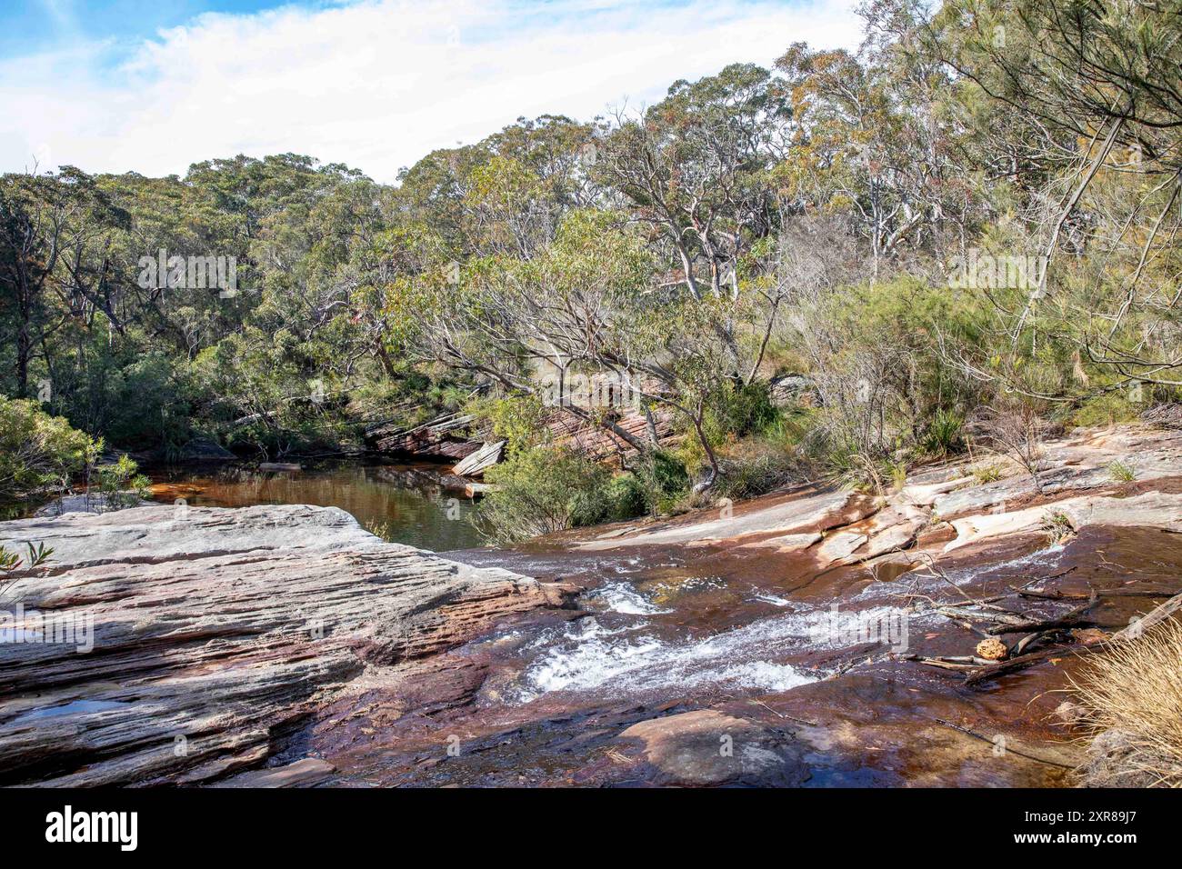 Deer Pool in the Royal National Park on the Bundeena drive to Marley ...