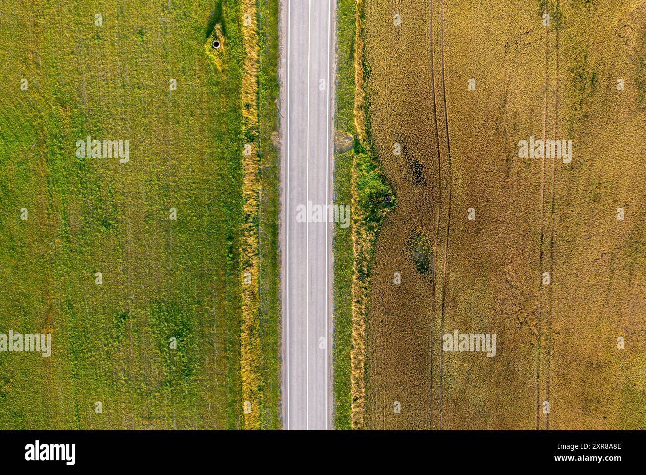 A road with white lane markings runs straight through a field of grass ...
