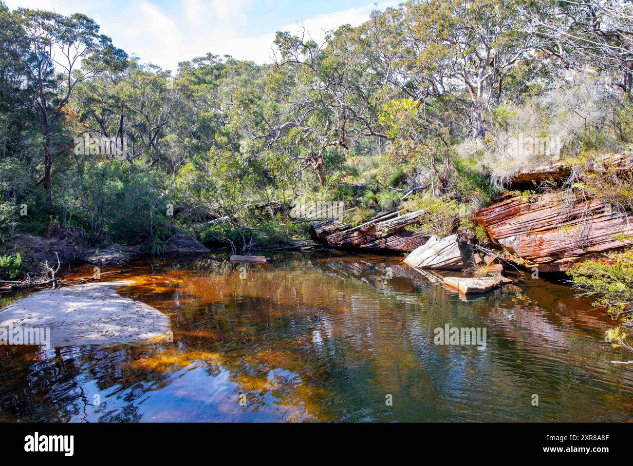 Deer Pool in the Royal National Park on the Bundeena drive to Marley ...