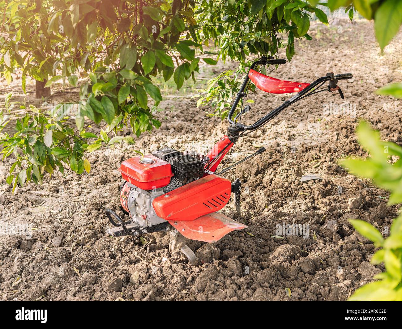 Red Motorized Tiller in Action on Farm Stock Photo - Alamy