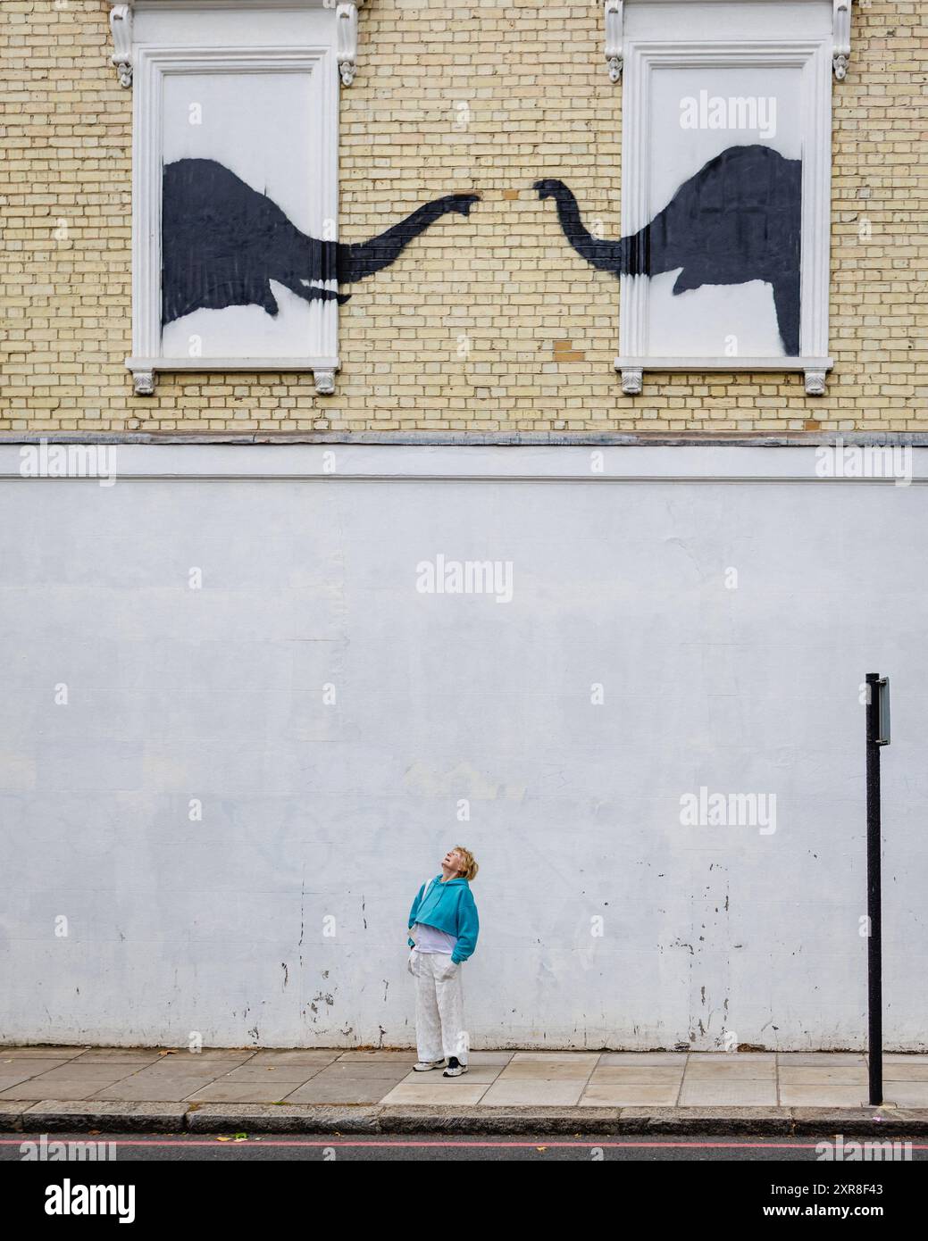 Banksy's London animal series: A Banksy admires his elephants mural ...
