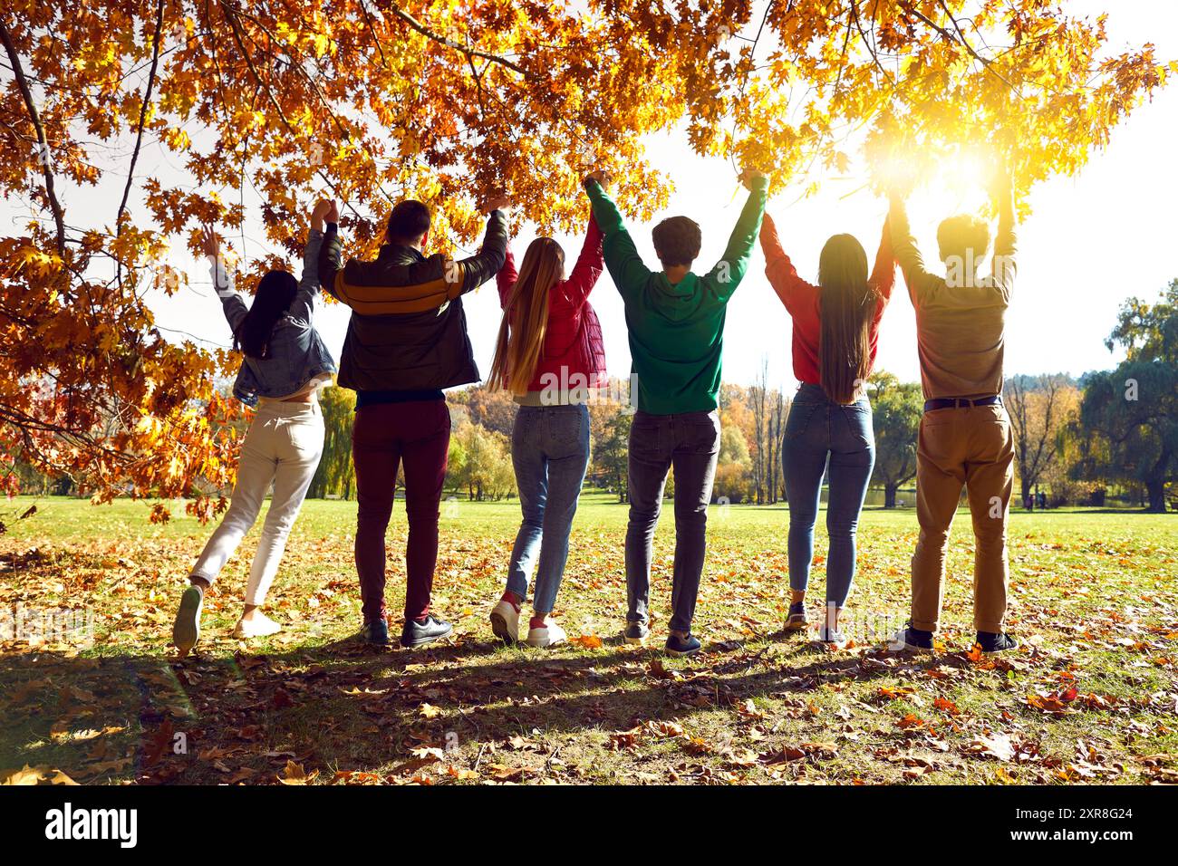 Back view of friends raising their arms together at sunset Stock Photo ...