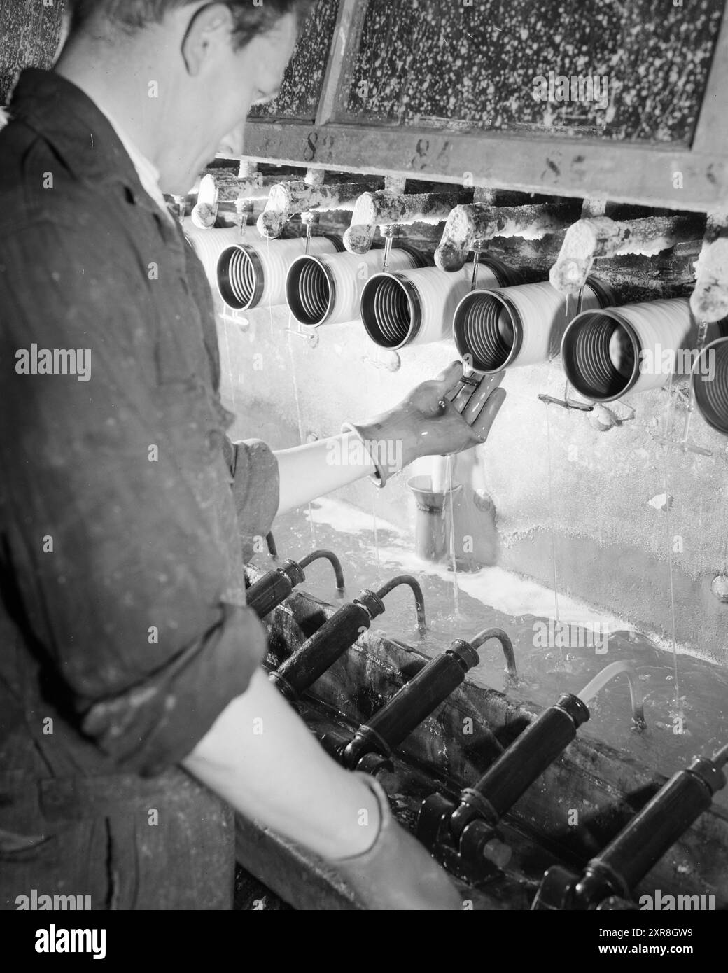 Current 06-1949: Crackling silk from the depths of the forest ...