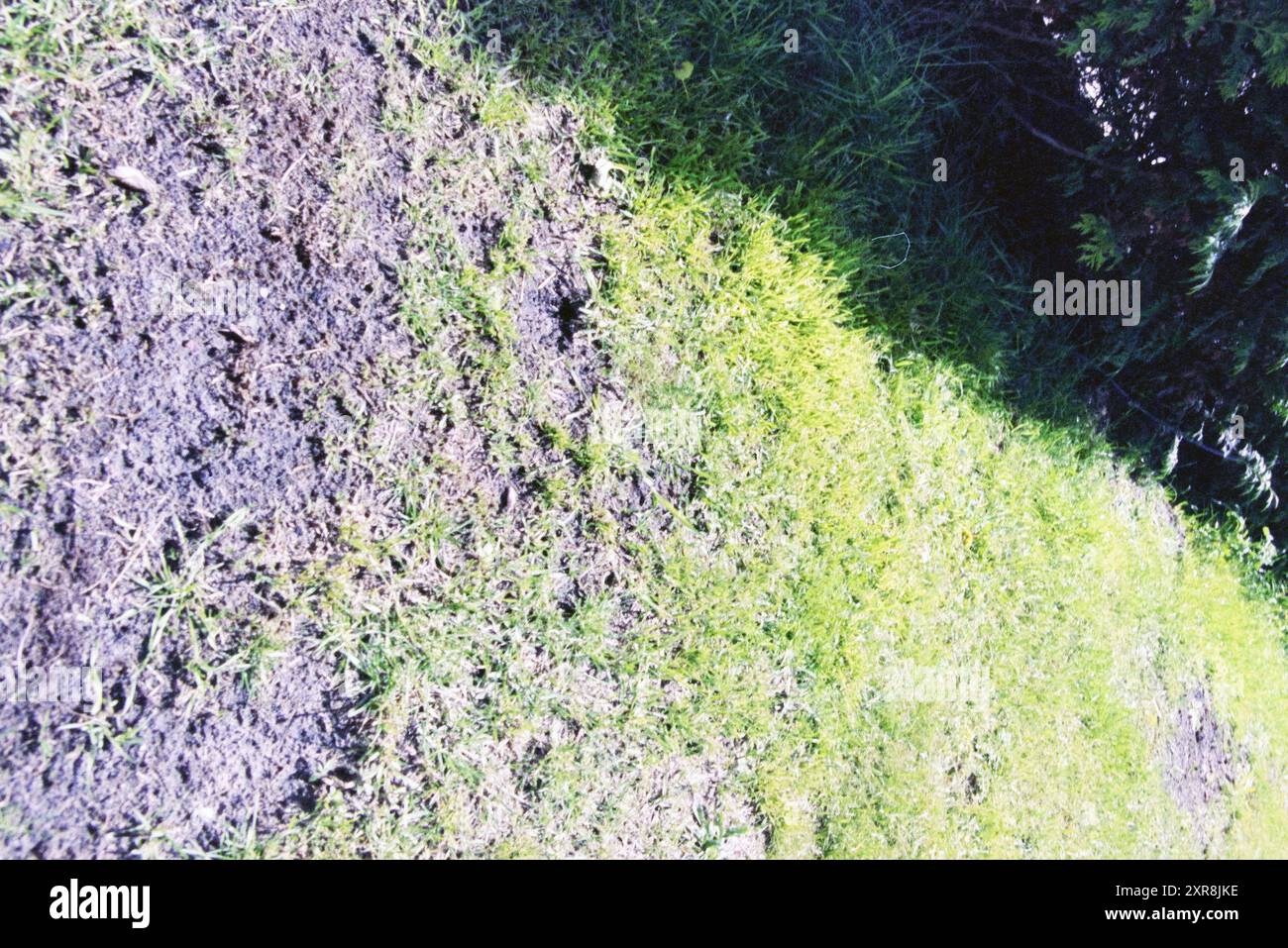 Borst hi-res stock photography and images - Alamy