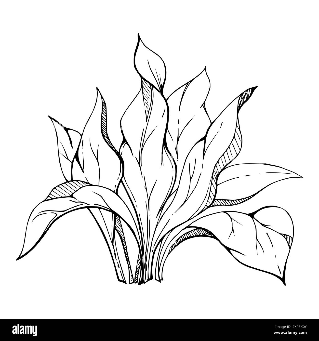 Deep bush Stock Vector Images - Alamy