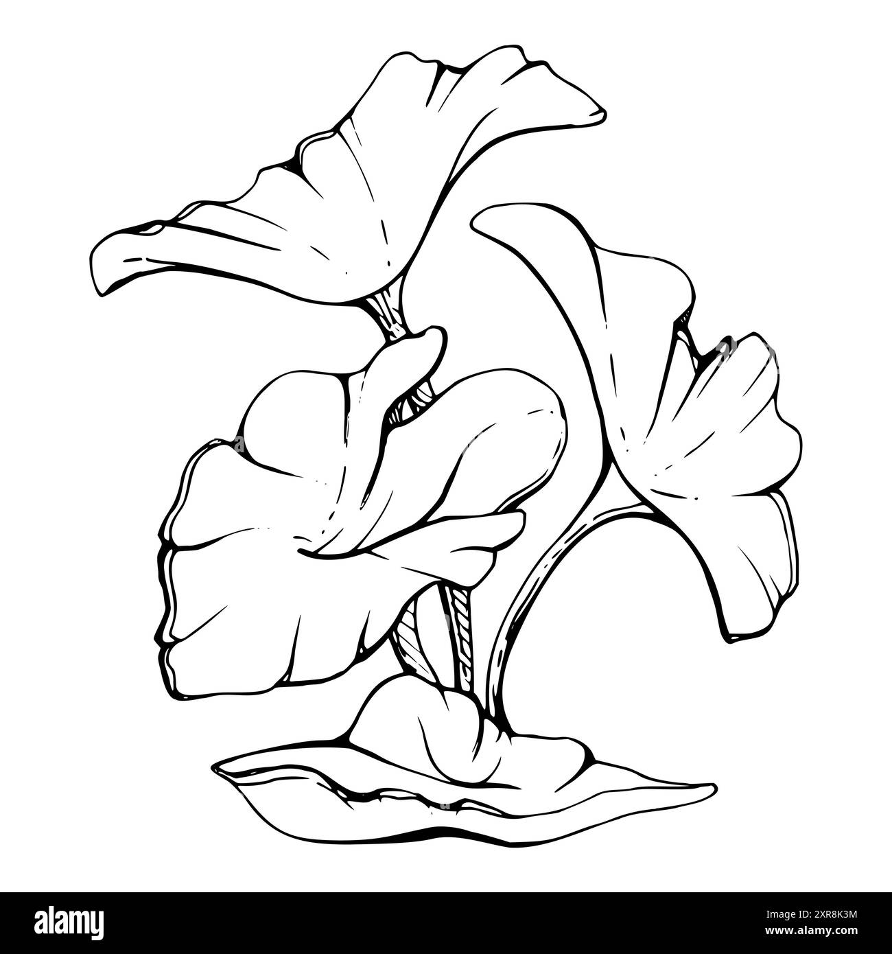 Botanical plant leaves bush drawing, Marine life, sea ocean underwater ...