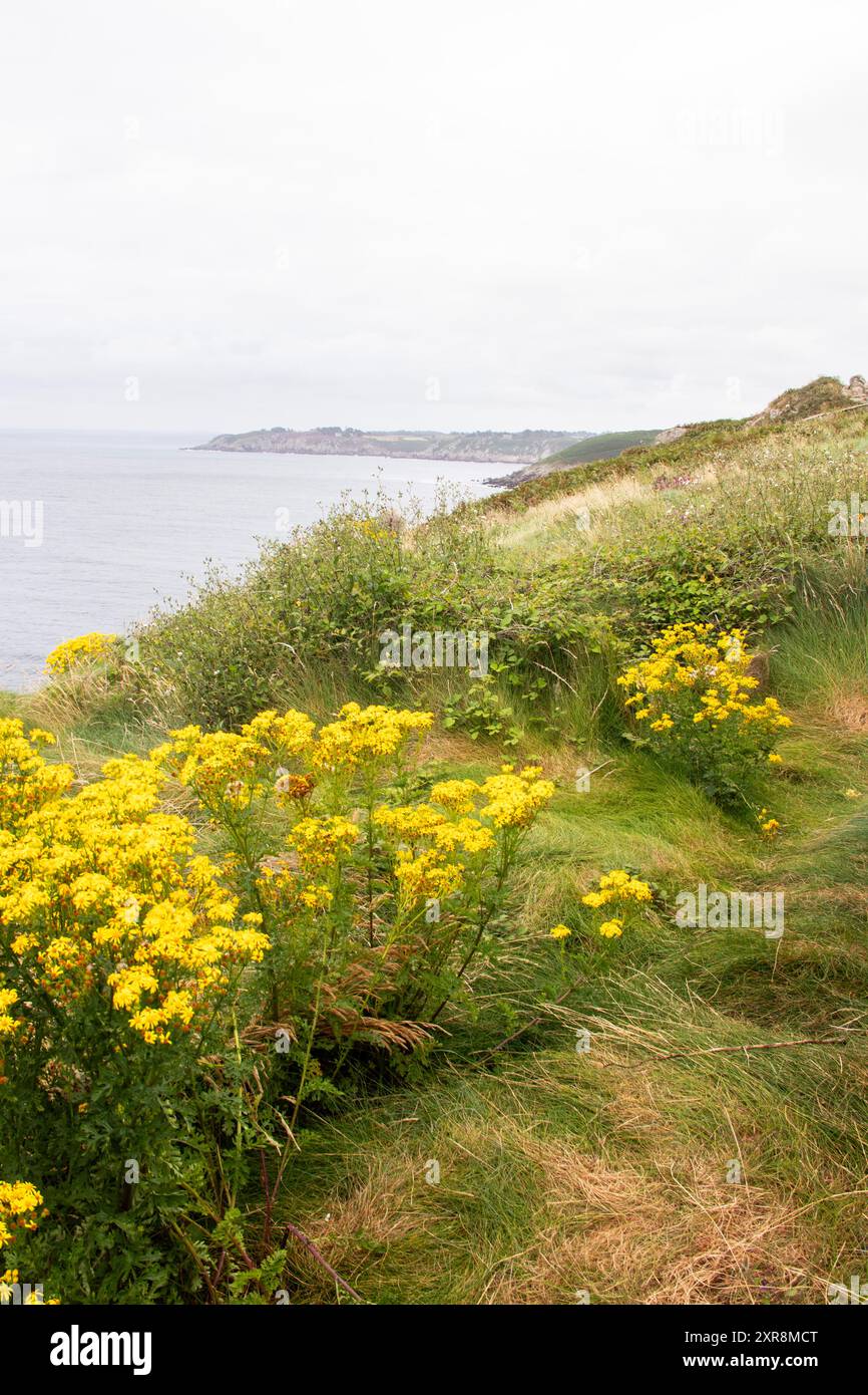 Pointe du thousandr hi-res stock photography and images - Alamy