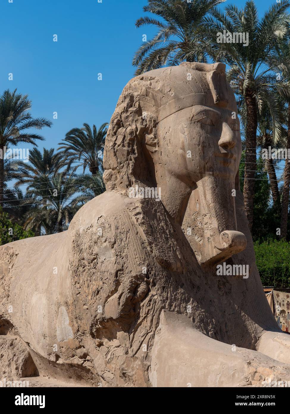 Alabaster sphinx , exhibited in the Mit Rahina open air museum Memphis ...