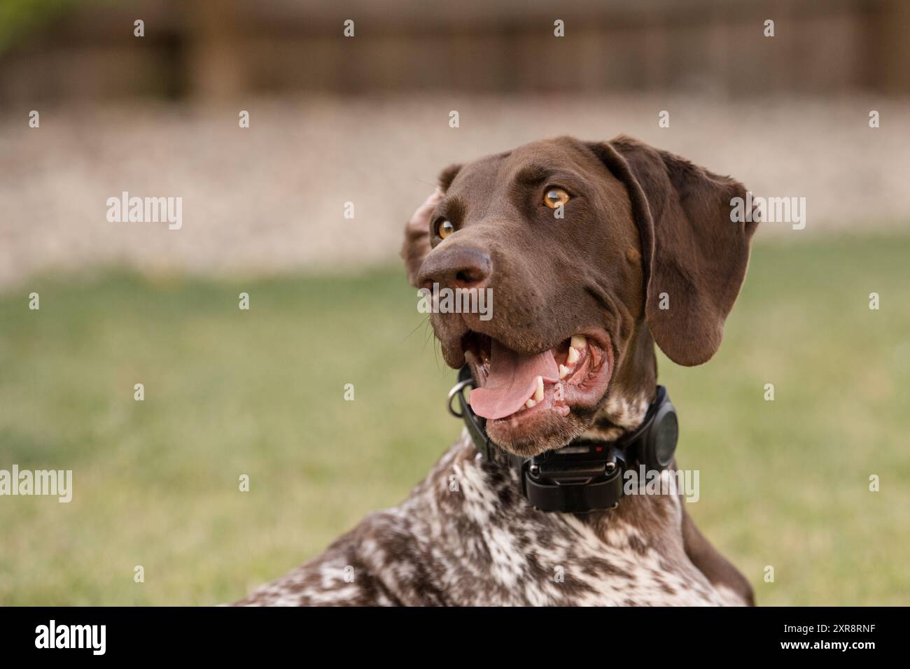 Gsp hi-res stock photography and images - Alamy