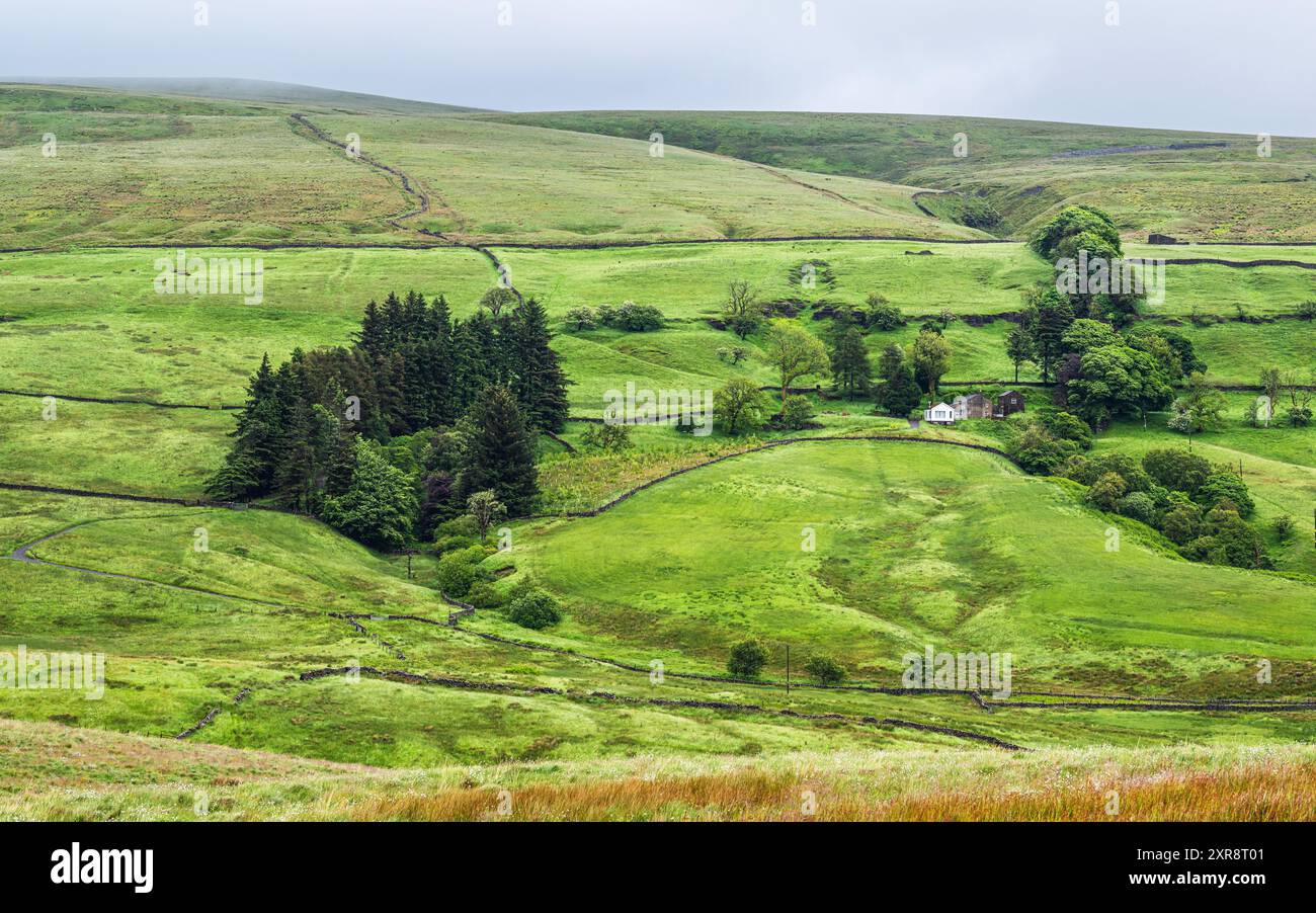Farms in Yorkshire Dales National Park, North Yorkshire, England Stock ...