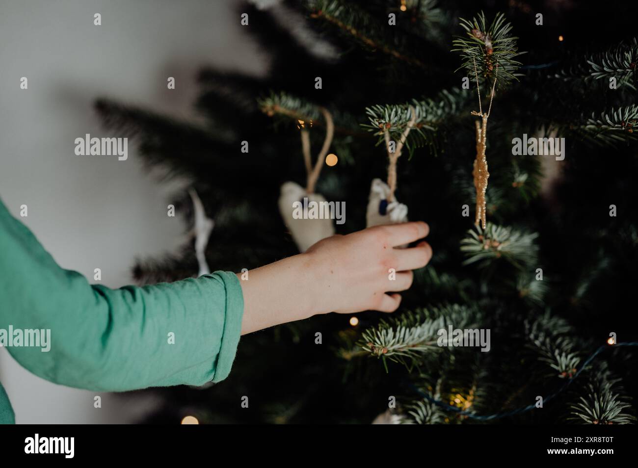 Hand and christmas tree hi-res stock photography and images - Alamy