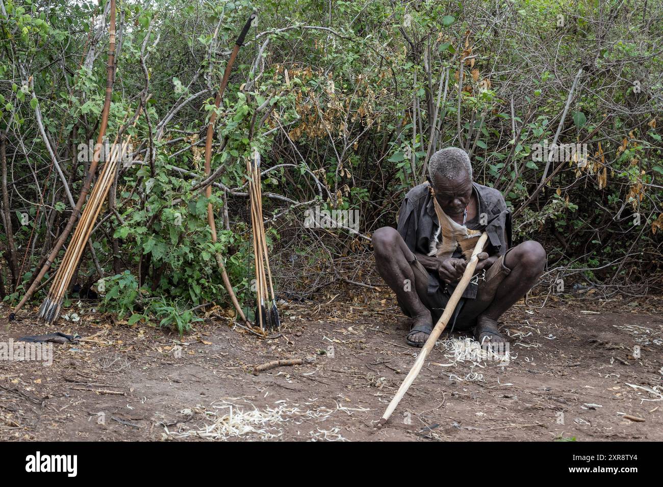 Elder make a bow with arrows, Hadzabe tribe, hunter-gatherers, Tanzania ...