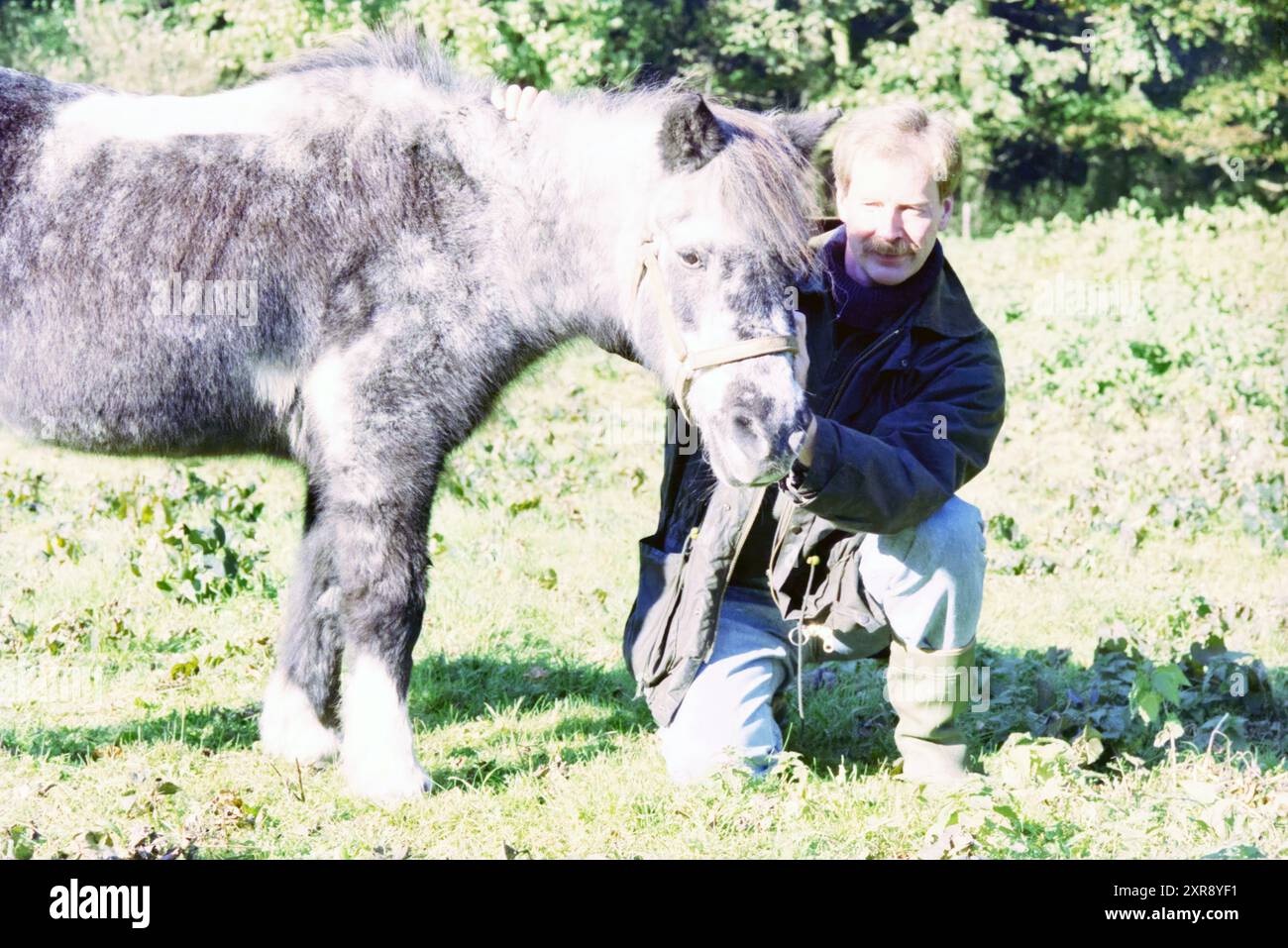 40 year old shetland pony, O'veen, Overveen, 21-10-1997, Whizgle Dutch ...