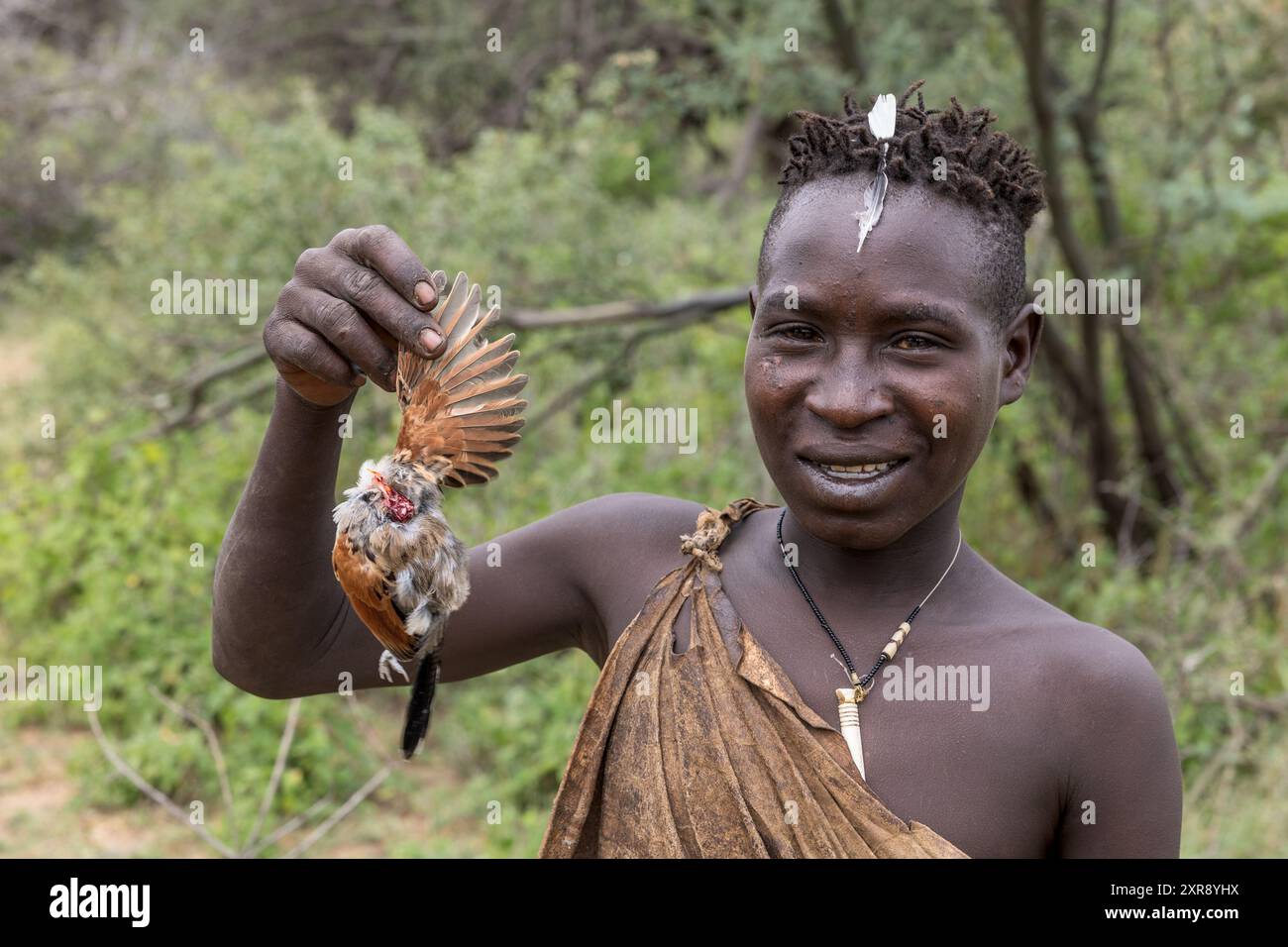 The hunt, the prey, bird with head bitten off, Hadzabe tribe, hunter ...