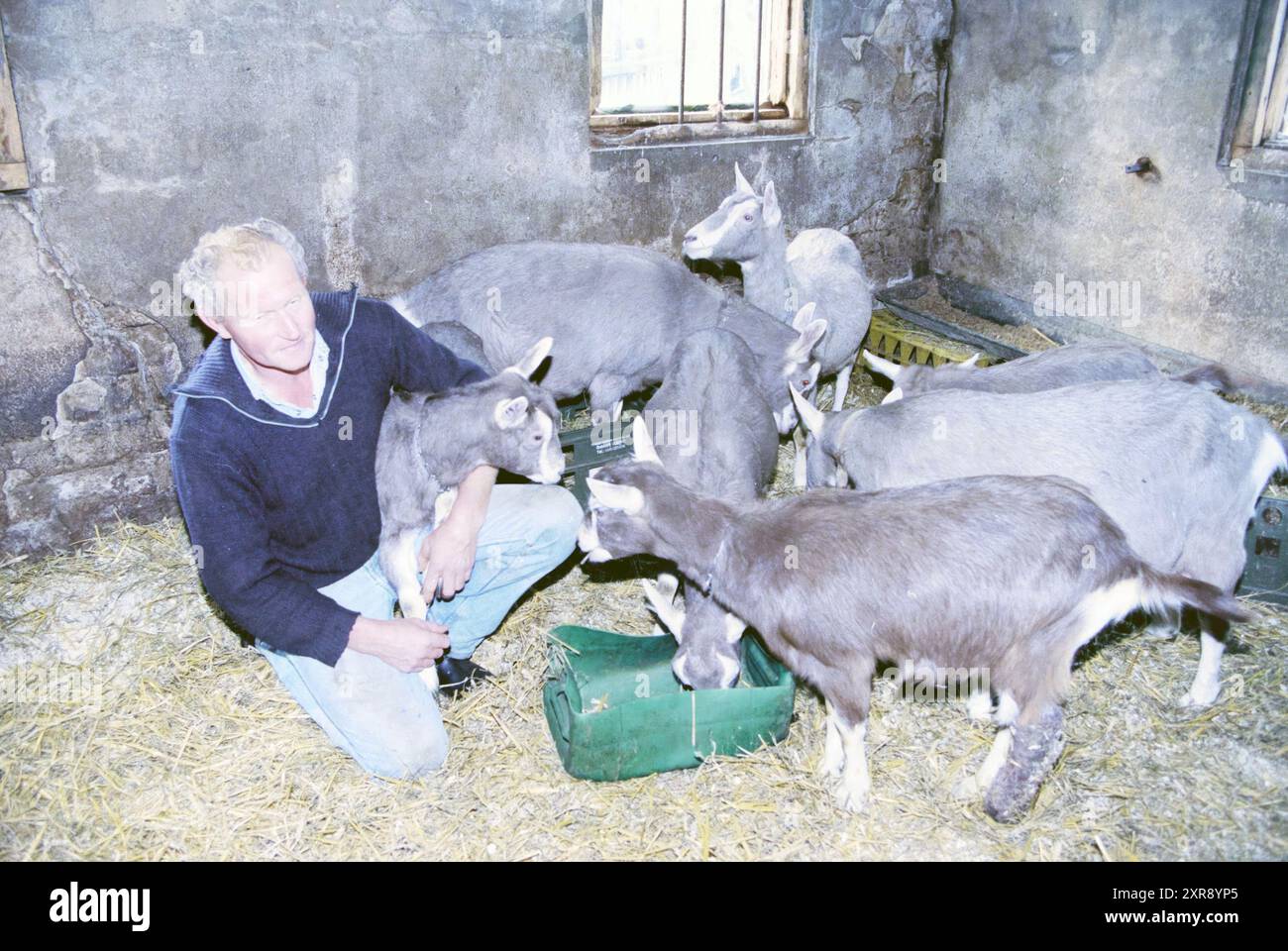 Farmer jan van waard hi-res stock photography and images - Alamy