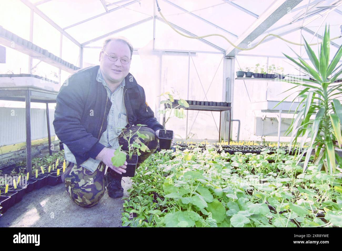 Rene filippus hi-res stock photography and images - Alamy