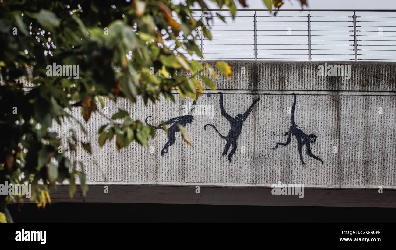 Banksy's London animal series: Three swinging monkeys on a railway ...