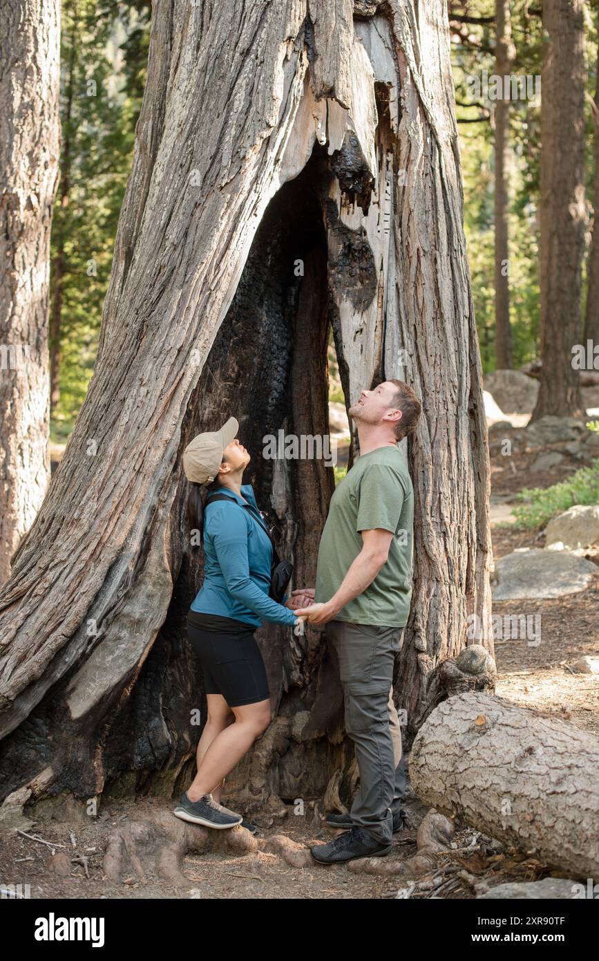 Couple holding hands under an opening of a large tree Stock Photo - Alamy