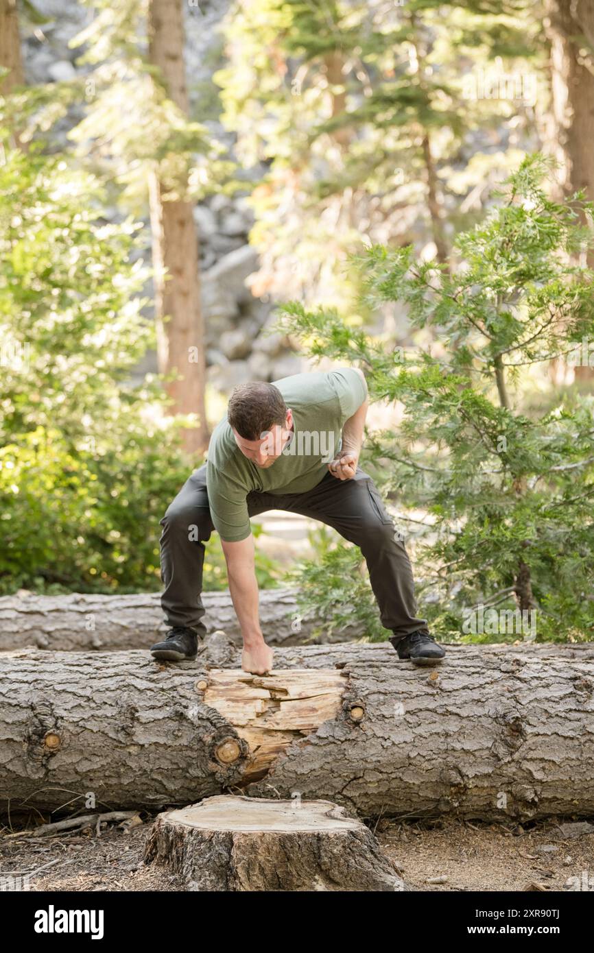 Man punching the tree creating a large crack Stock Photo - Alamy