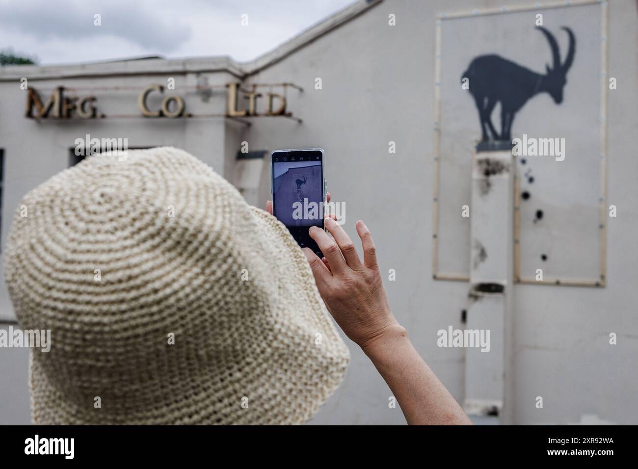 Banksy's London animal series: A tourist captures Banksy's mountain ...